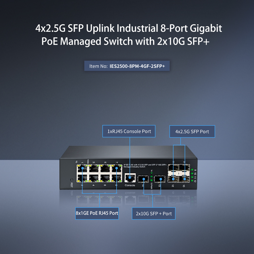 Understanding different Ports of Gigabit PoE Switch