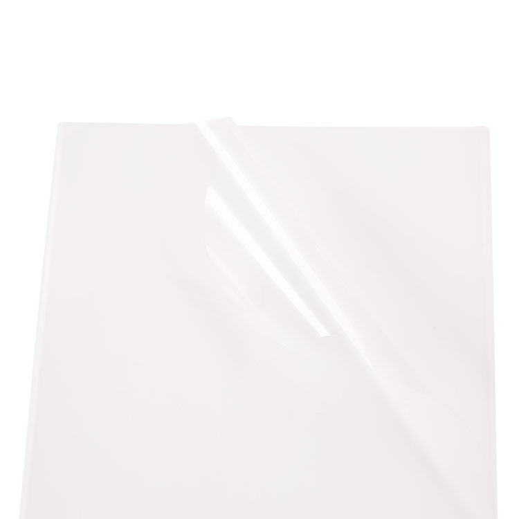 Cut Flush L Shaped Folder, Glass Clear, PP A4,Binder Pockets