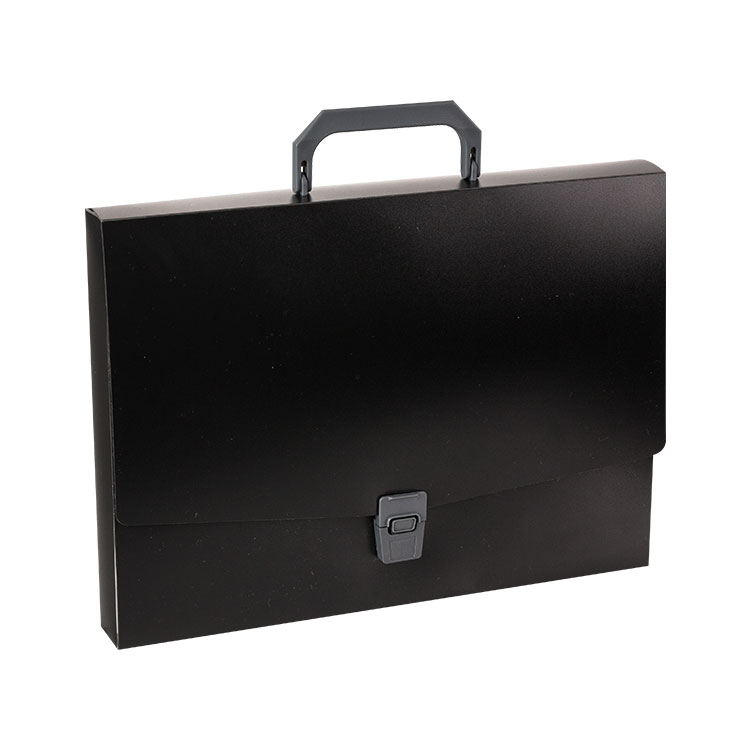 Portable Document Case with Handle, Opaque, PP A4,Box Files