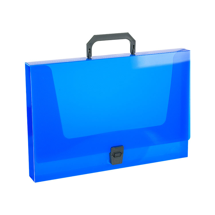 Portable Document Case with Handle, Translucent, PP Foolscap,Box Files