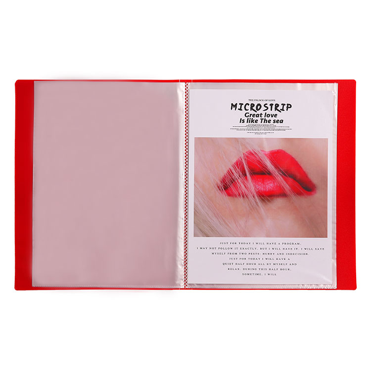 Clear Book with Printed Stripes, PP A4, 10-100 pockets,Display Books