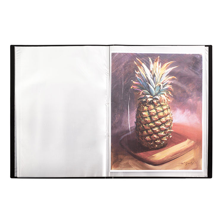 Rigid A3 Display Books Presentation Folder, 20 Pockets, Black,Display Books