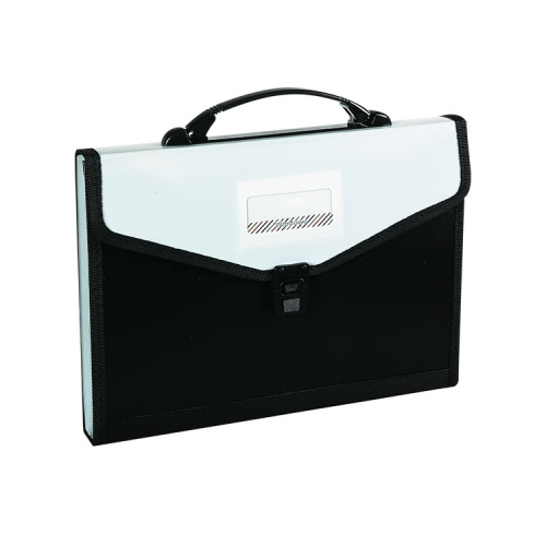 Expanding File with Handle, 13 Pocket, Sewed Edges, PP A4, Letter ...