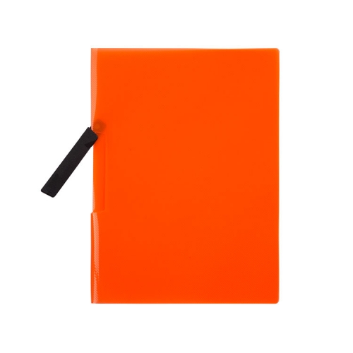 Swing Clip Files with Black Clip, Translucent, PP A4,Presentation Folders