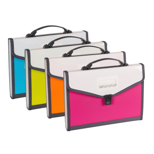 Expanding File Folder with Handle, 13 Pocket, Sewed Edges, PP A4 ...