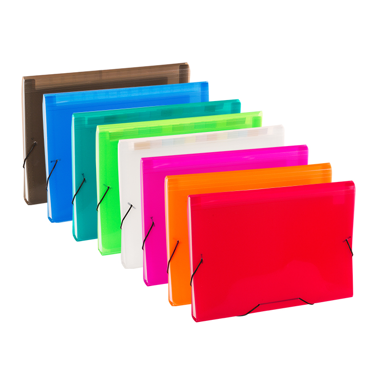 Translucent Expanding File with Elastic Closure, 13 Pockets, PP A4 ...