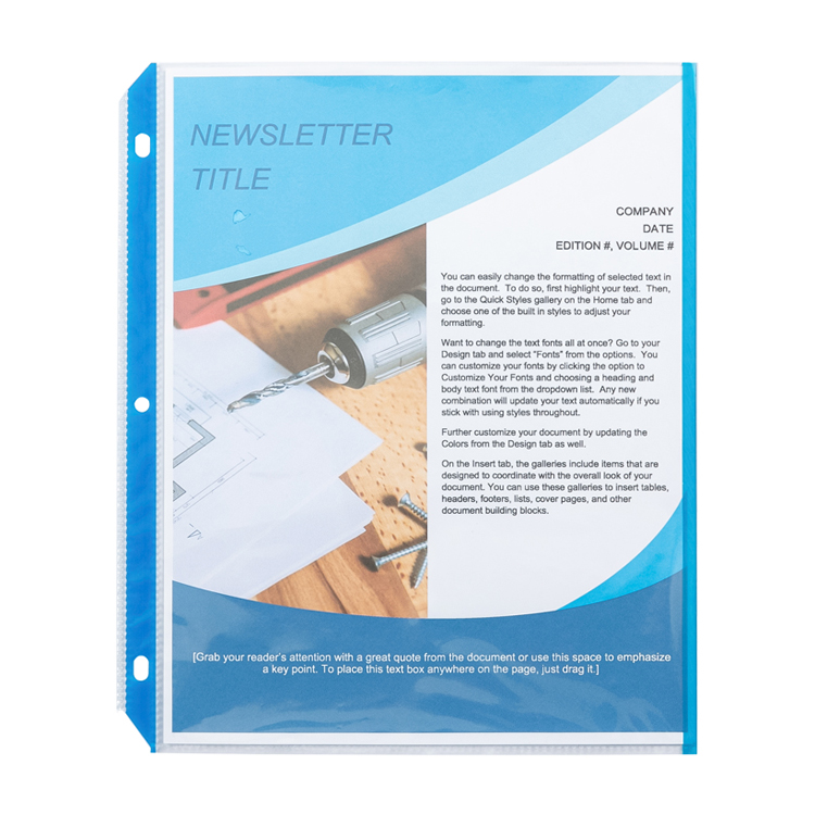 Colored-Edge Sheet Protectors , transparent , PP Letter,Binder Pockets