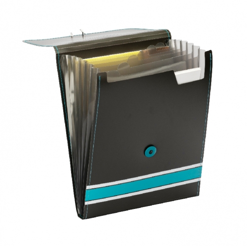 VERTICAL EXPANDING FILES,FUSION