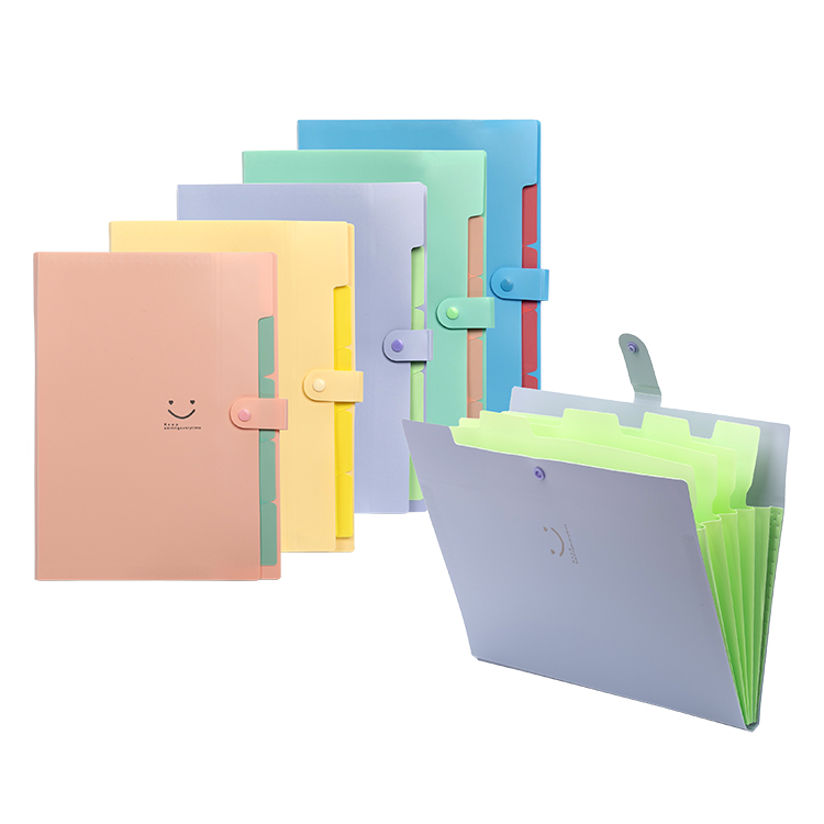 5 Pocket Expanding File