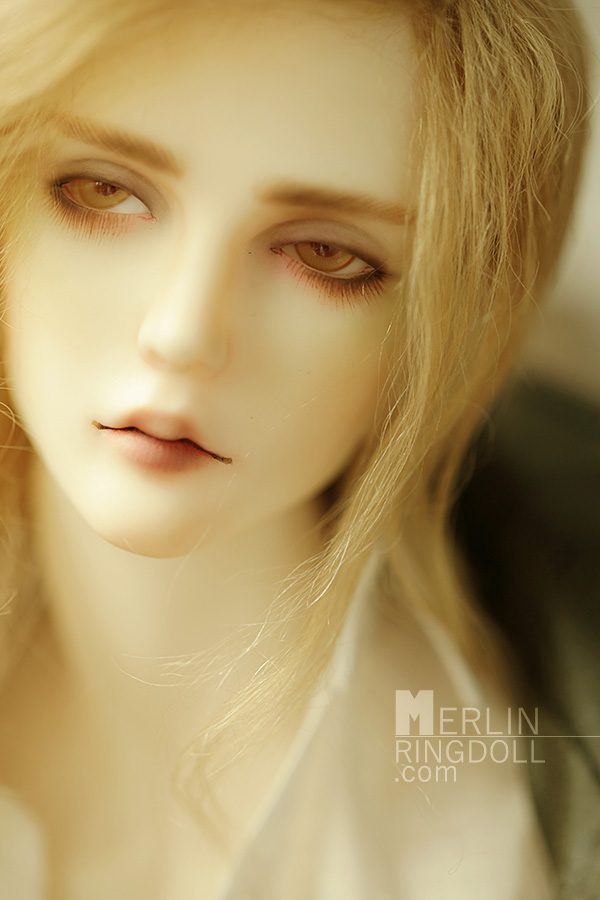Merlin,Sold out dolls