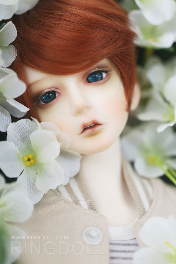 Moon,Sold out dolls