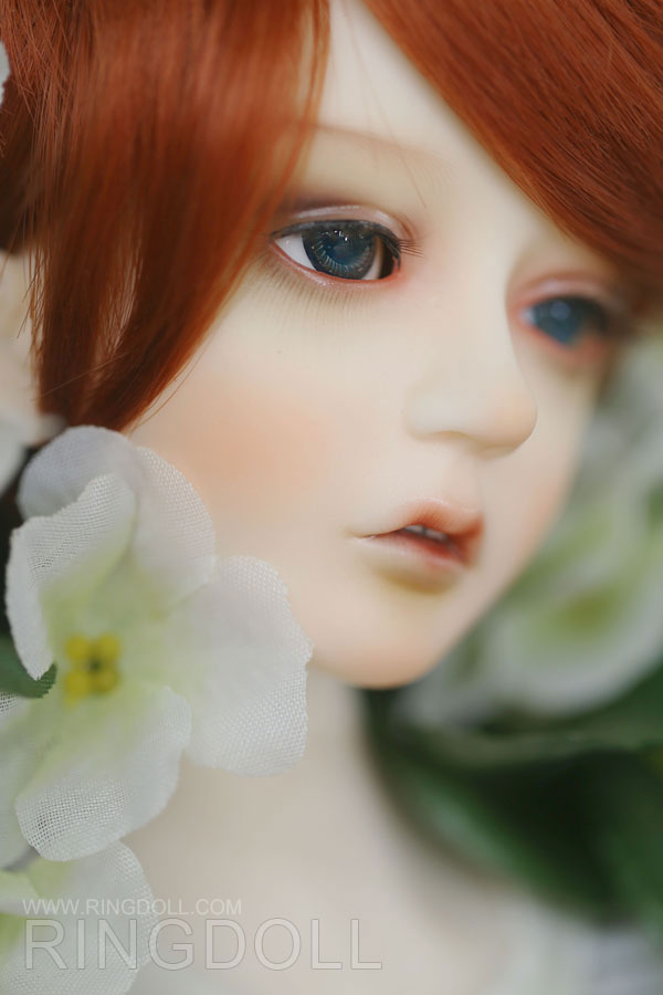 Moon,Sold out dolls