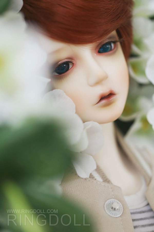 Moon,Sold out dolls