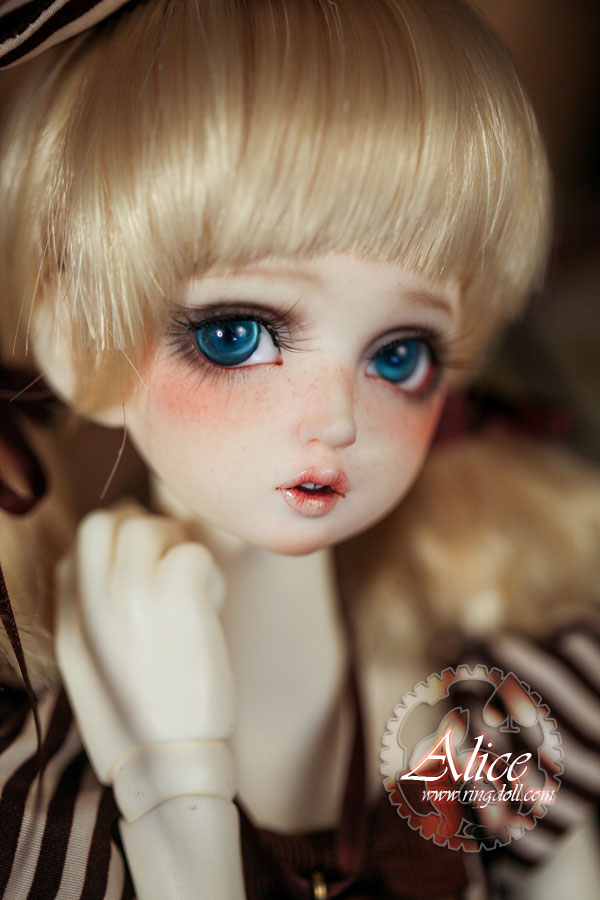 Alice,Sold out dolls