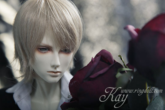 Kay,Sold out dolls