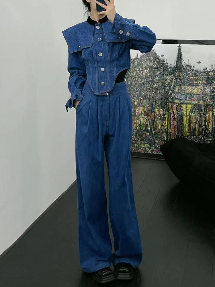 TWOTWINSTYLE Vintage Blue Two Piece Set Female Round Neck Long Sleeve ...