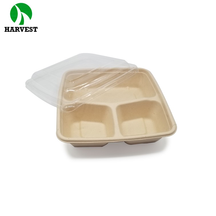 3 compartment biodegradable paper pulp food packaging box container