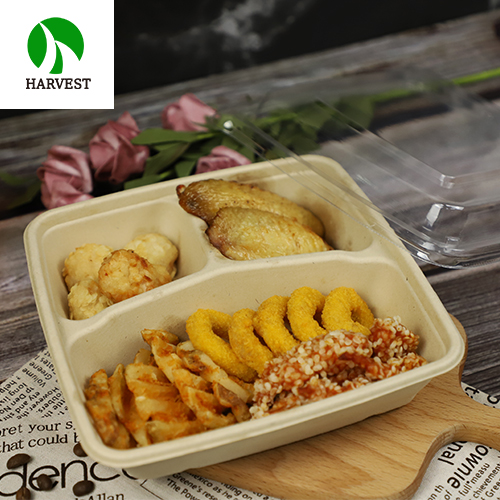 3 compartment biodegradable paper pulp food packaging box container