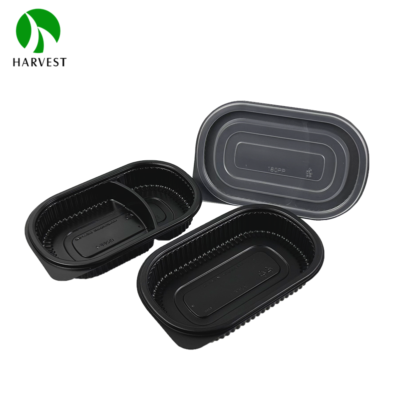 Eco friendly plastic disposable small bento lunch food packaging box