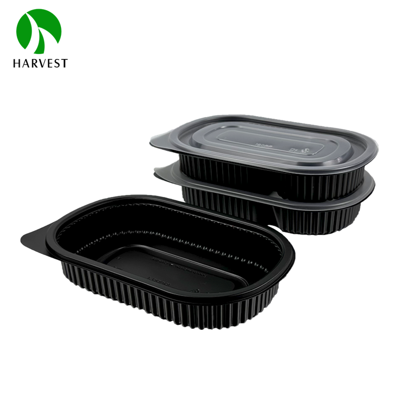 Eco friendly plastic disposable small bento lunch food packaging box