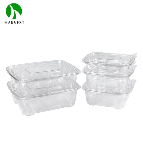 plastic salad box