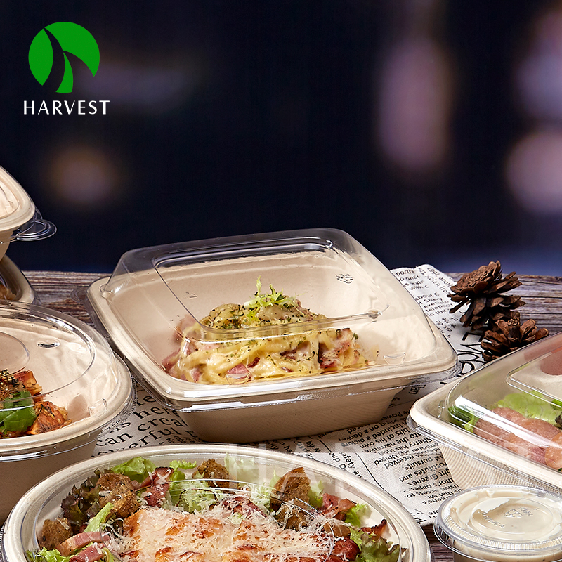 Harvest Food Packaging | CP Square Series Biodegradable Food Container ...