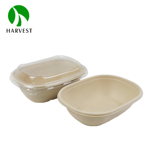 Harvest Food Packaging - Fiber Pulp Food Boxes, Rectangle Food Boxes ...