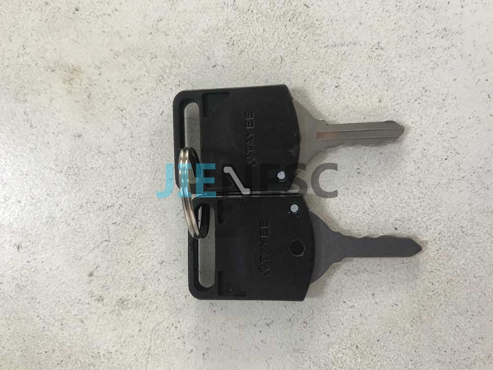 DAA177CD1 escalator key