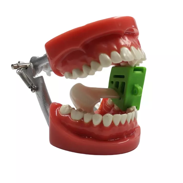 Premium Open Wide Disposable Mouth Prop | Skycare Dental