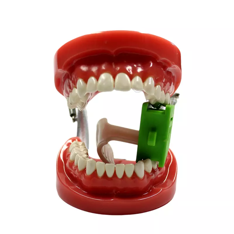 Premium Open Wide Disposable Mouth Prop | Skycare Dental