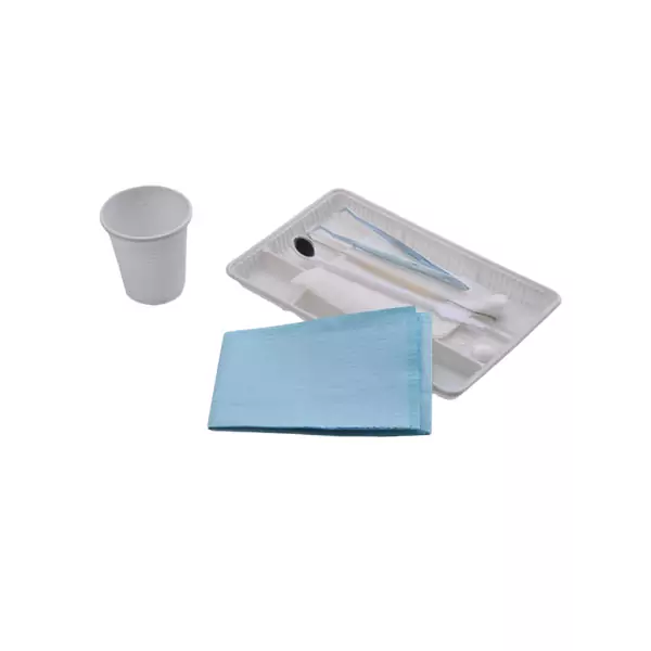 Disposable Dental Exam Kits | Skycare Dental