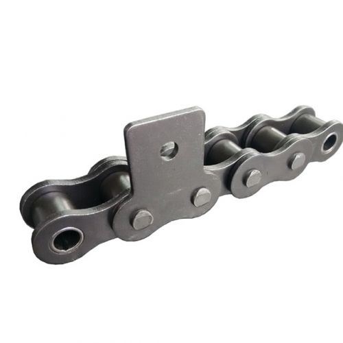 Double pitch conveyor chains with extended pins