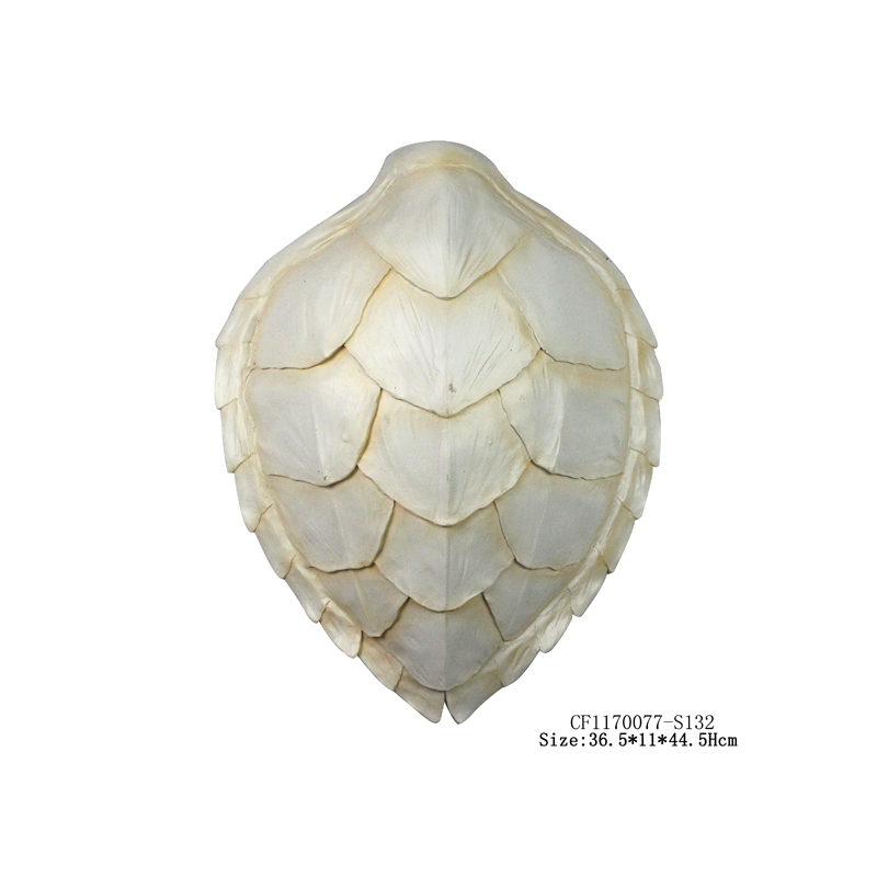 turtle,tortoise shell,turtle shell