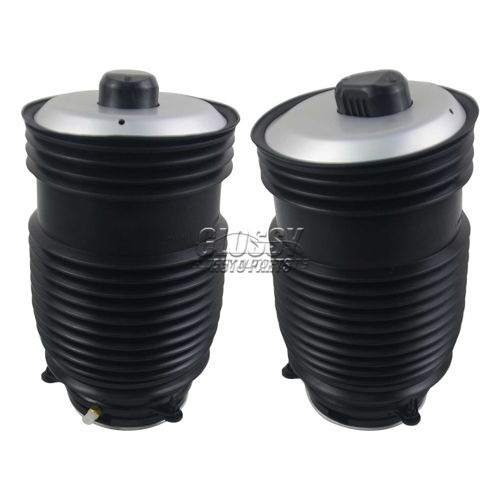 Rear Left And Right Air Spring For Mercedes Benz C250 C300 C350 C400 ...