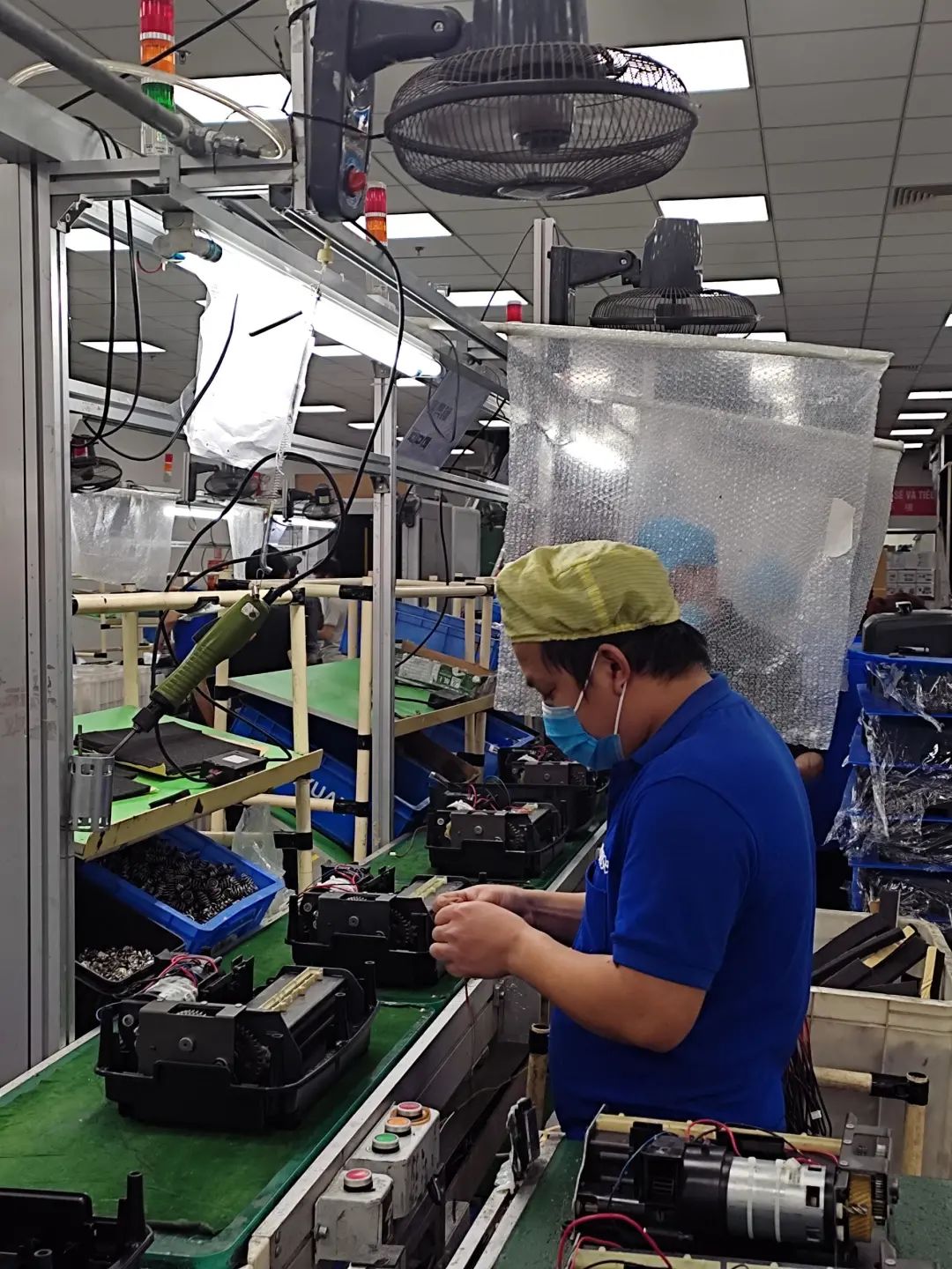 bonsen vietnam resistance to disease