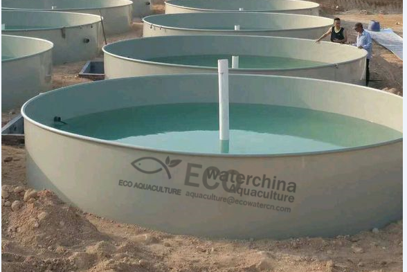 RAS fish tank/pp material tanks