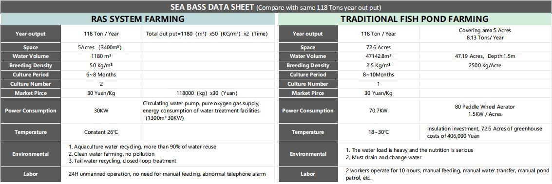 Why RAS Wins Over In Sea Bass Farmer