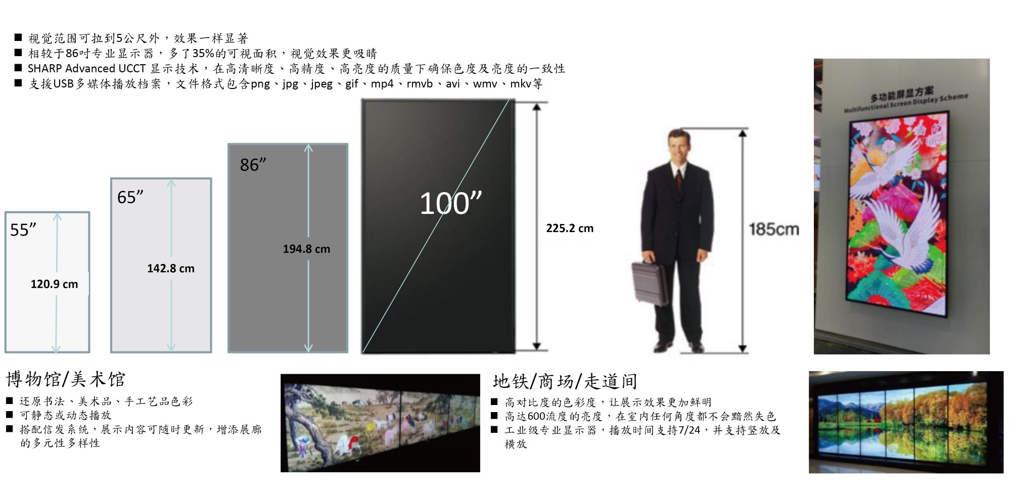 LCD High-end display,