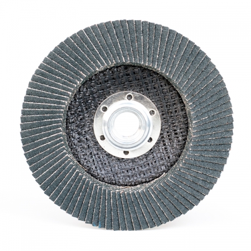 Flap Disc with Metal Hub Threaded