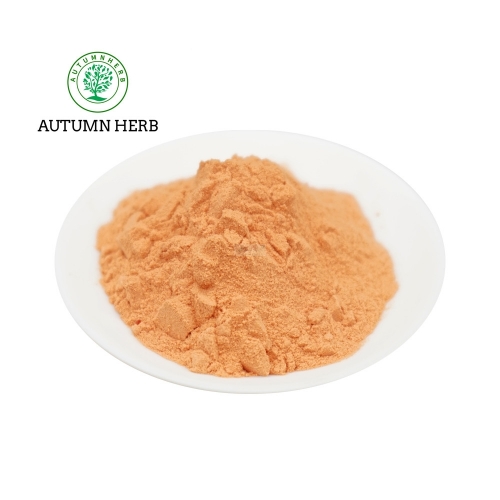 Turmeric Extract Powder Curcumin 95%