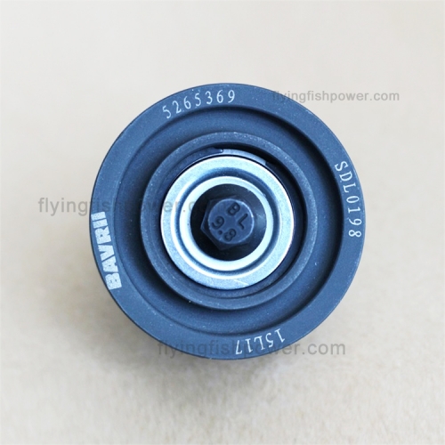 Shiyan Flyingfish Power Co., Ltd.