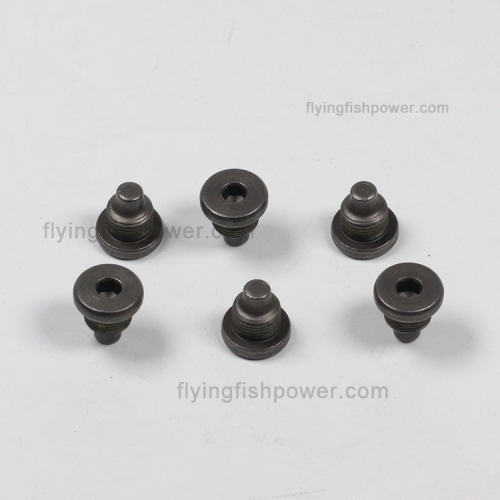 Shiyan Flyingfish Power Co., Ltd.