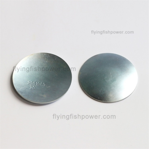 Shiyan Flyingfish Power Co., Ltd.