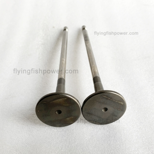 Shiyan Flyingfish Power Co., Ltd.