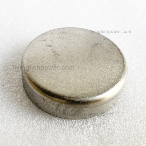 Shiyan Flyingfish Power Co., Ltd.