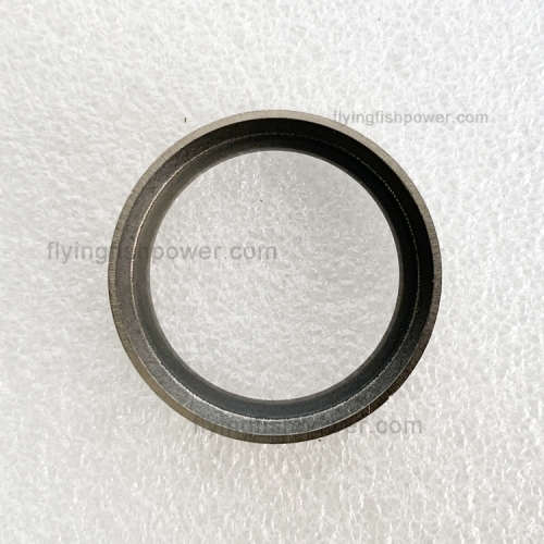 Shiyan Flyingfish Power Co., Ltd.