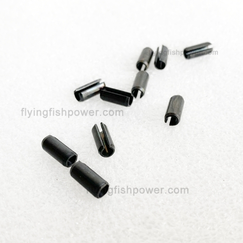 Shiyan Flyingfish Power Co., Ltd.