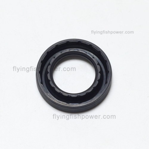 Flyingfish-Cummins ISG