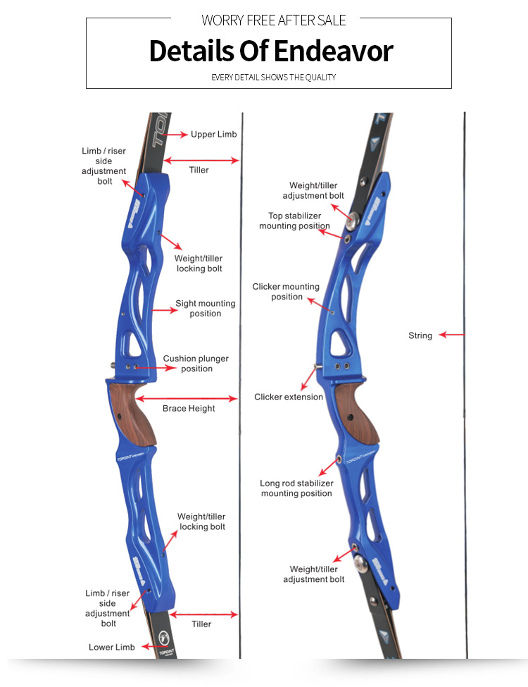 Recurve Bow - Endeavor