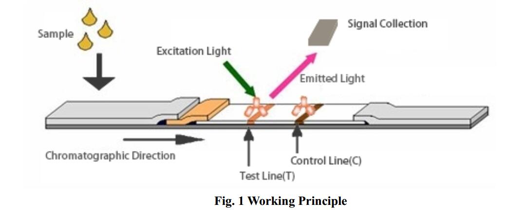 Immunofluorescence analyzer, a quantitative instrument that tests ...